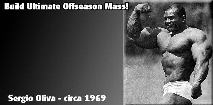 Bodybuilding Off-Season Power Training Program - The bodybuilder guide ...