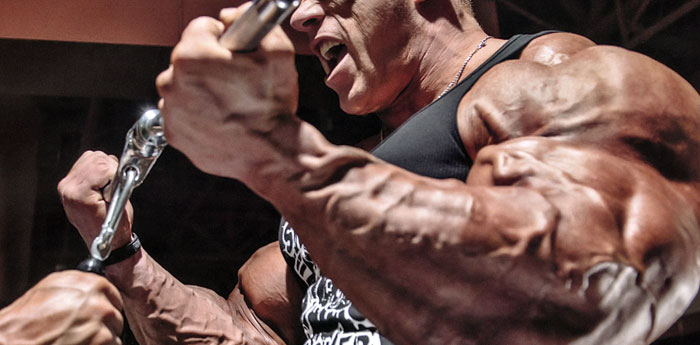 MuscleSports.net | Bodybuilding, Strength Sports and Fitness!